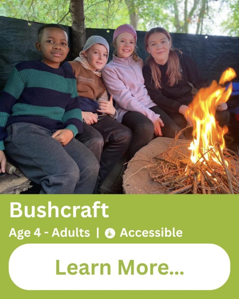 Activities | Lea Green