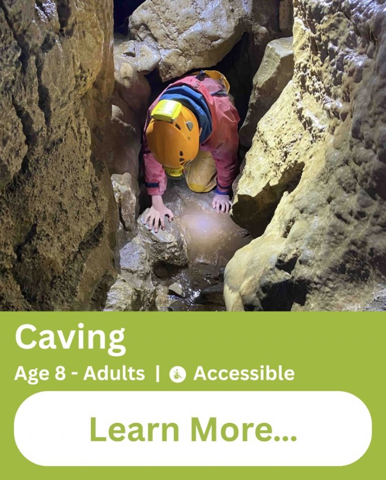 Activities | Lea Green