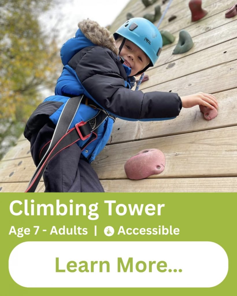 Activities | Lea Green