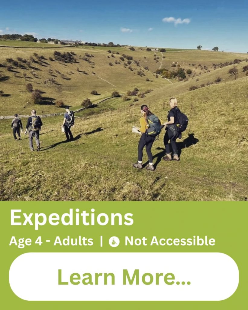 Activities | Lea Green