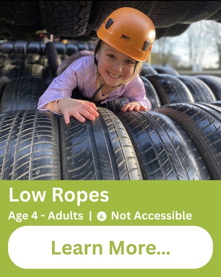 Activities | Lea Green