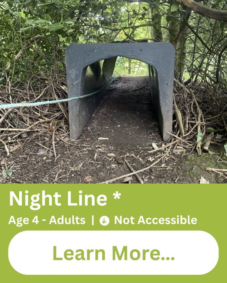 Activities | Lea Green