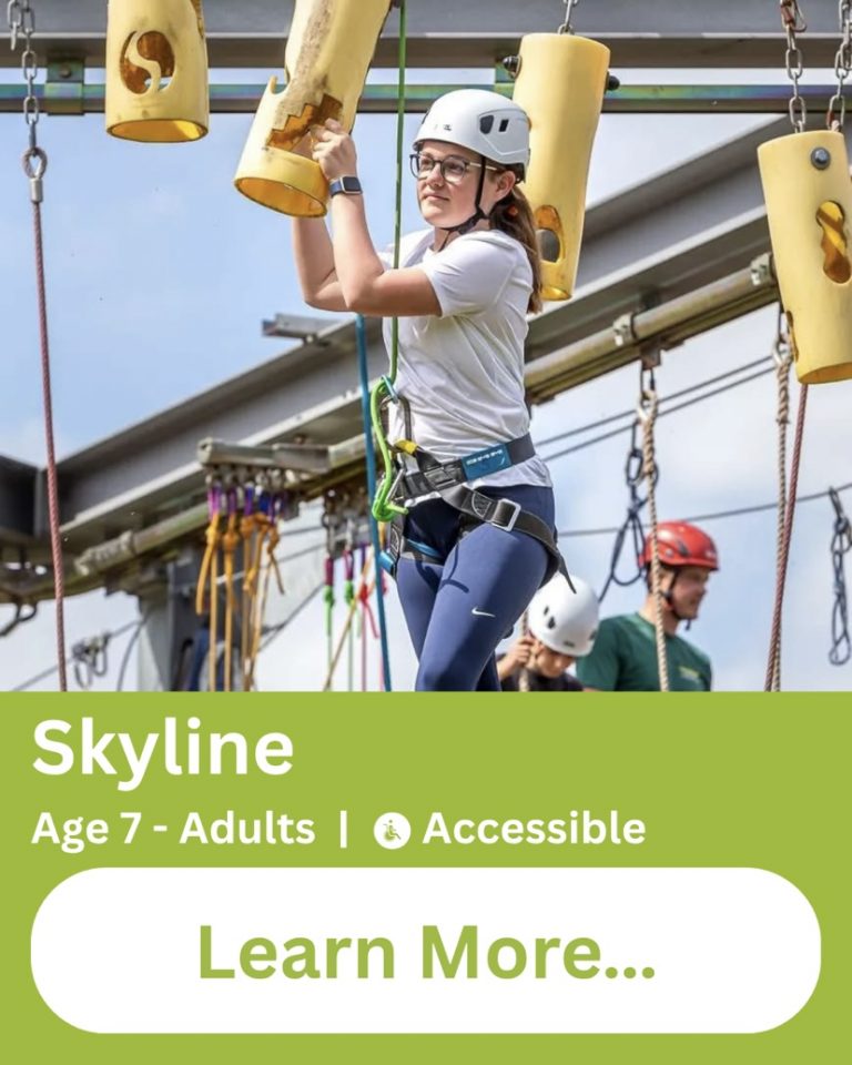 Activities | Lea Green